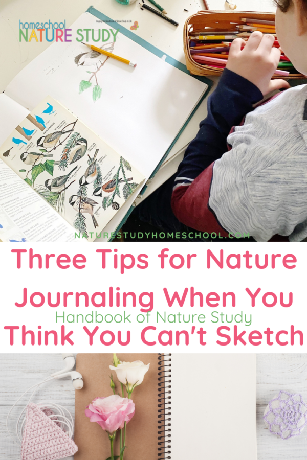 3 Tips for Nature Journaling When You Think You Can't Sketch ...