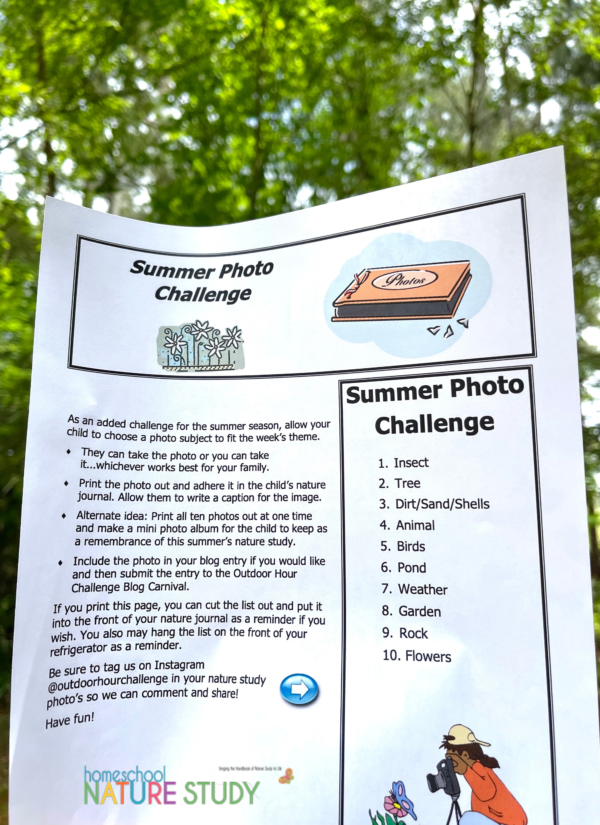 Fun Summer Nature Study Photo Challenge - Homeschool Nature Study
