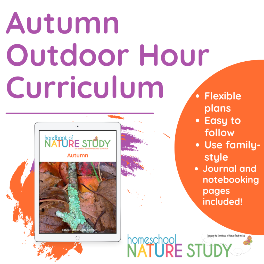 Autumn Nature Study Curriculum - Homeschool Nature Study