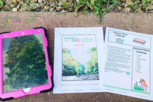 Fun Summer Nature Study Photo Challenge - Homeschool Nature Study