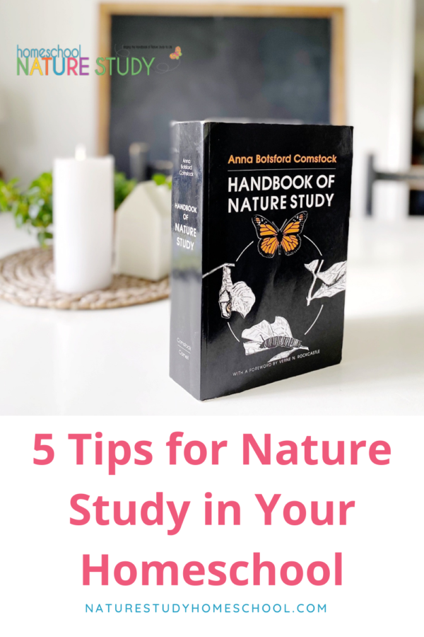 5 Getting Started Tips for Nature Study in Your Homeschool - Homeschool ...