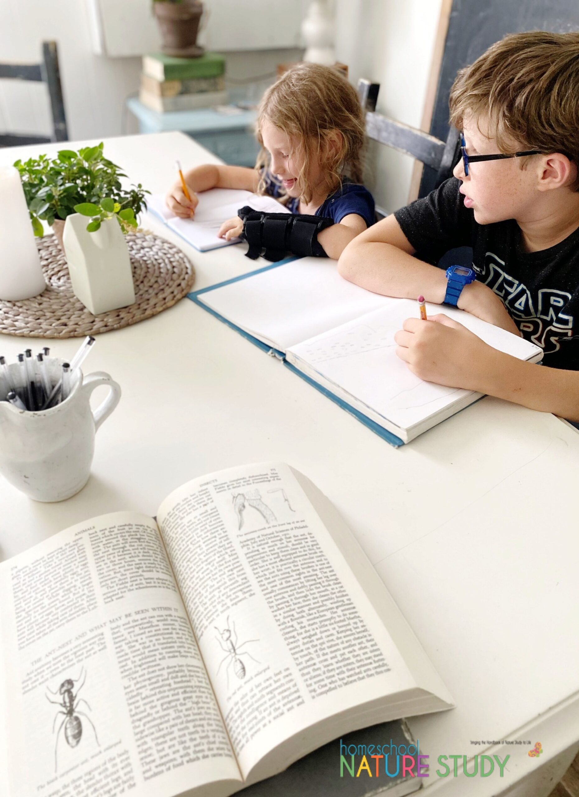 Monthly Nature Journal Activities For Your Homeschool - Homeschool ...