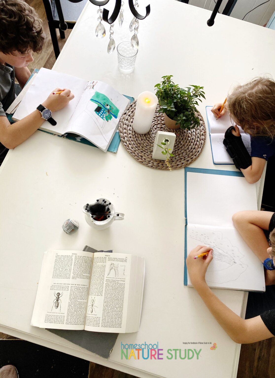 Monthly Nature Journal Activities For Your Homeschool - Homeschool ...