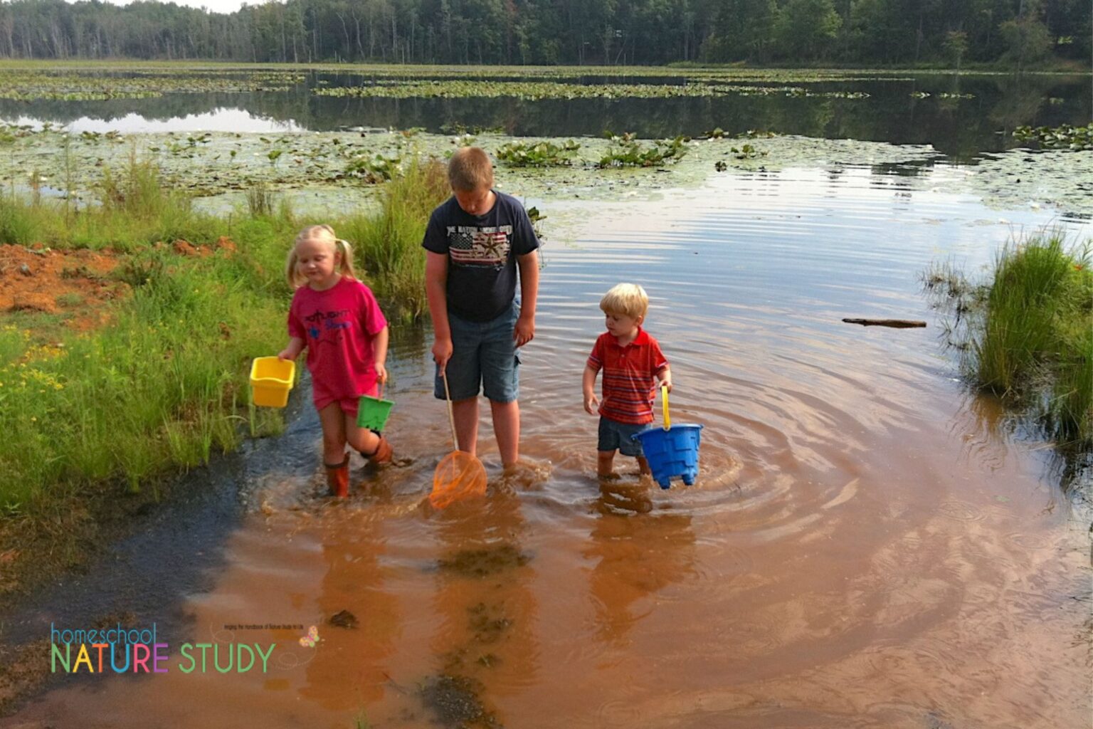 Pond and Frog Nature Study: Includes Frog Life Cycle Activity Printable ...