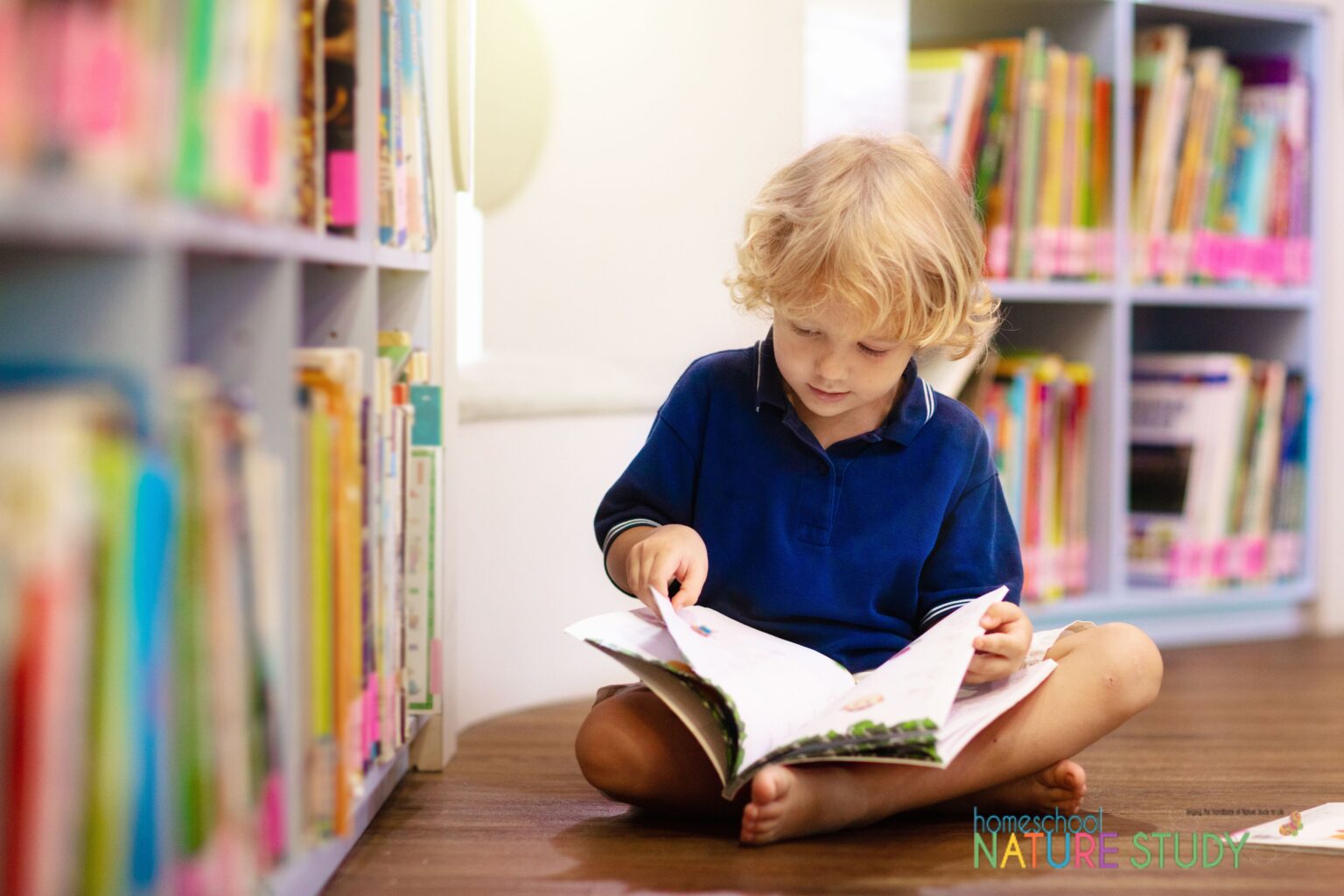 Using the Public Library to Enhance Your Nature Study - Homeschool ...