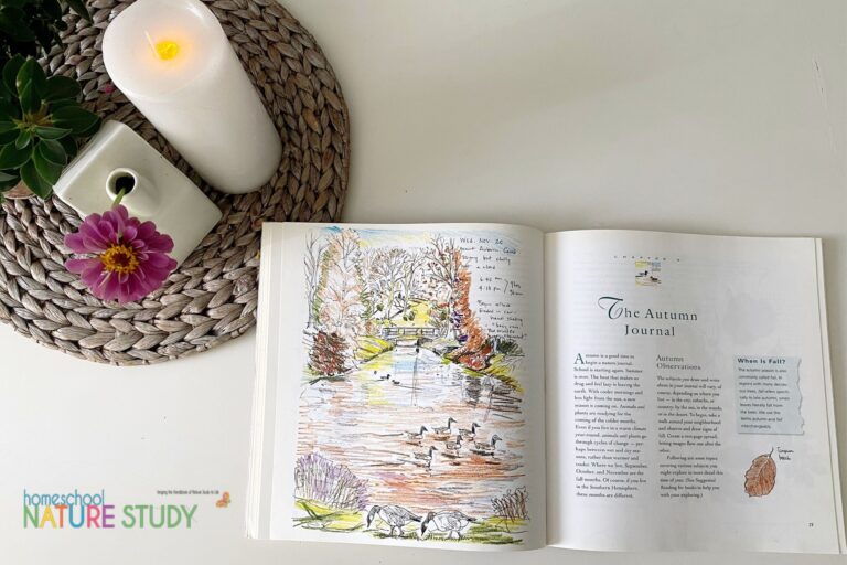Homeschool Nature Study Resource: Keeping a Nature Journal - Review ...