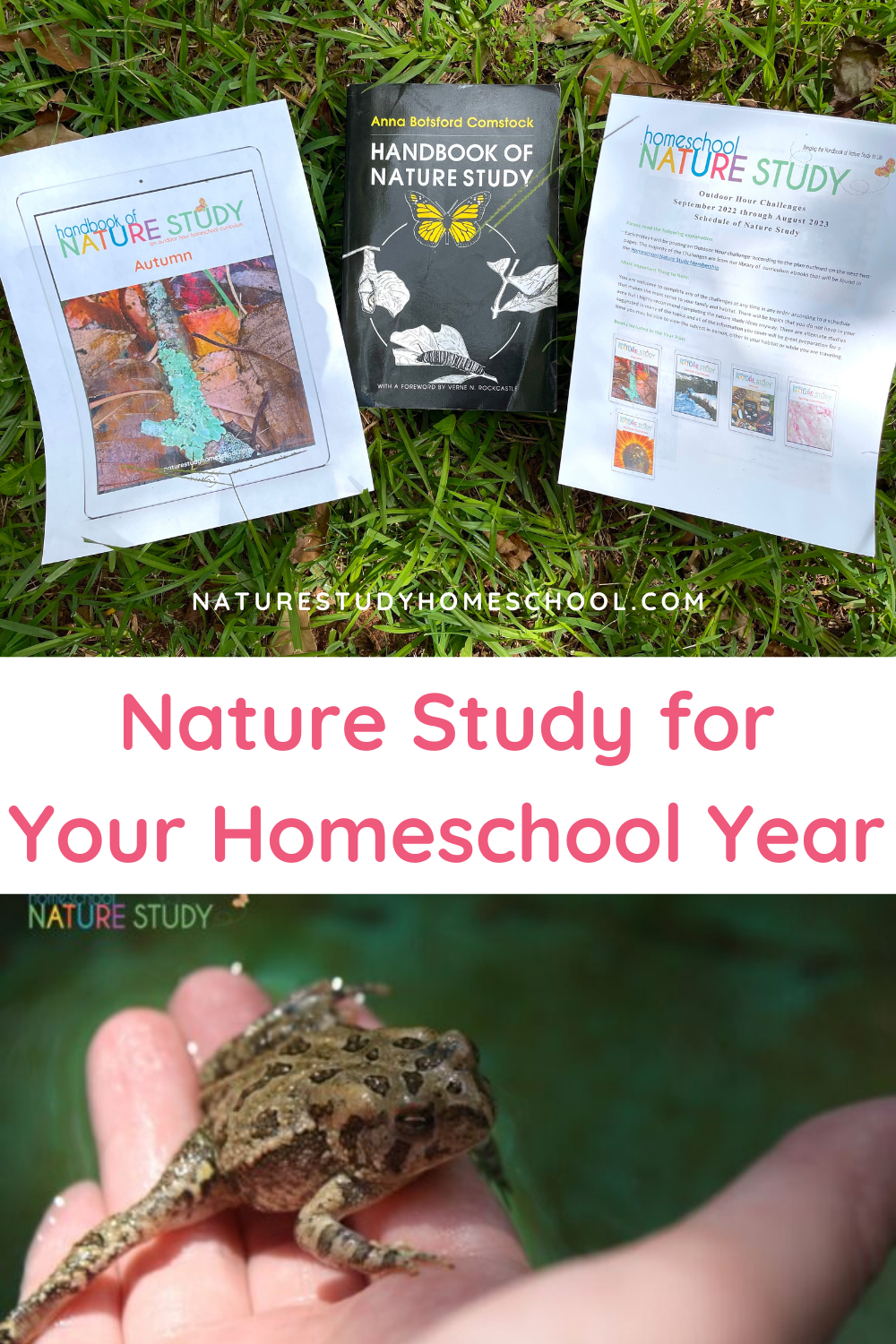 The Joy of Nature Study For Your Homeschool Year - Homeschool Nature Study