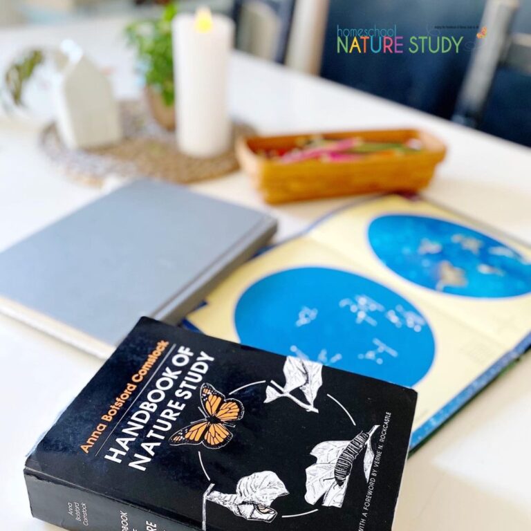 Homeschool Learning Styles with Astronomy: Nature Study at Night ...