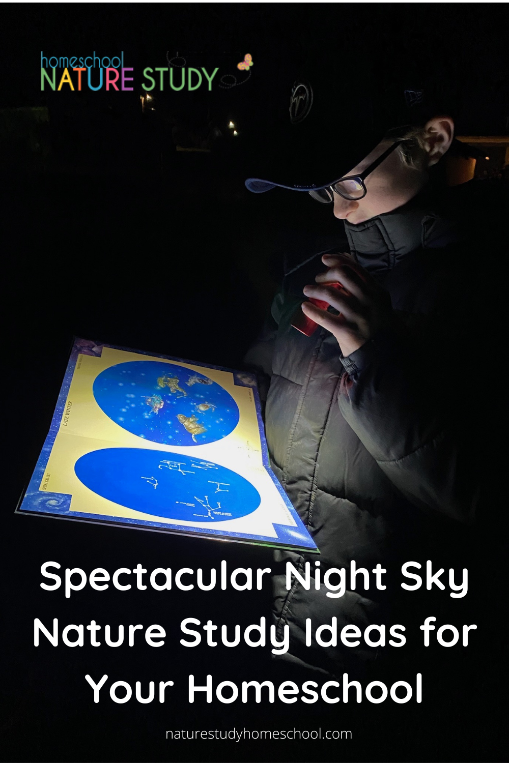 Spectacular Night Sky Nature Study Ideas for Your Homeschool ...