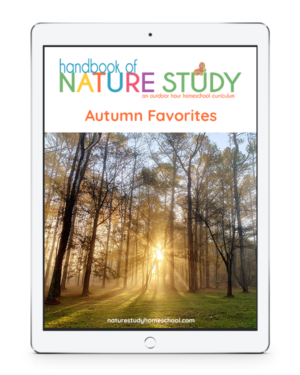 The Ultimate Guide To Fall Homeschool Nature Study In Your Own Backyard ...