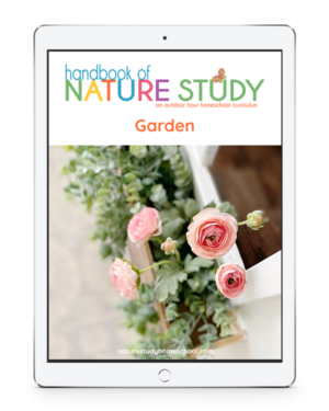 Homeschool Garden Activities for May Nature Studies - Homeschool Nature ...