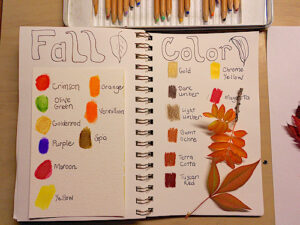 Homeschool Fall Leaf Study And Activities (perfect for all ages ...
