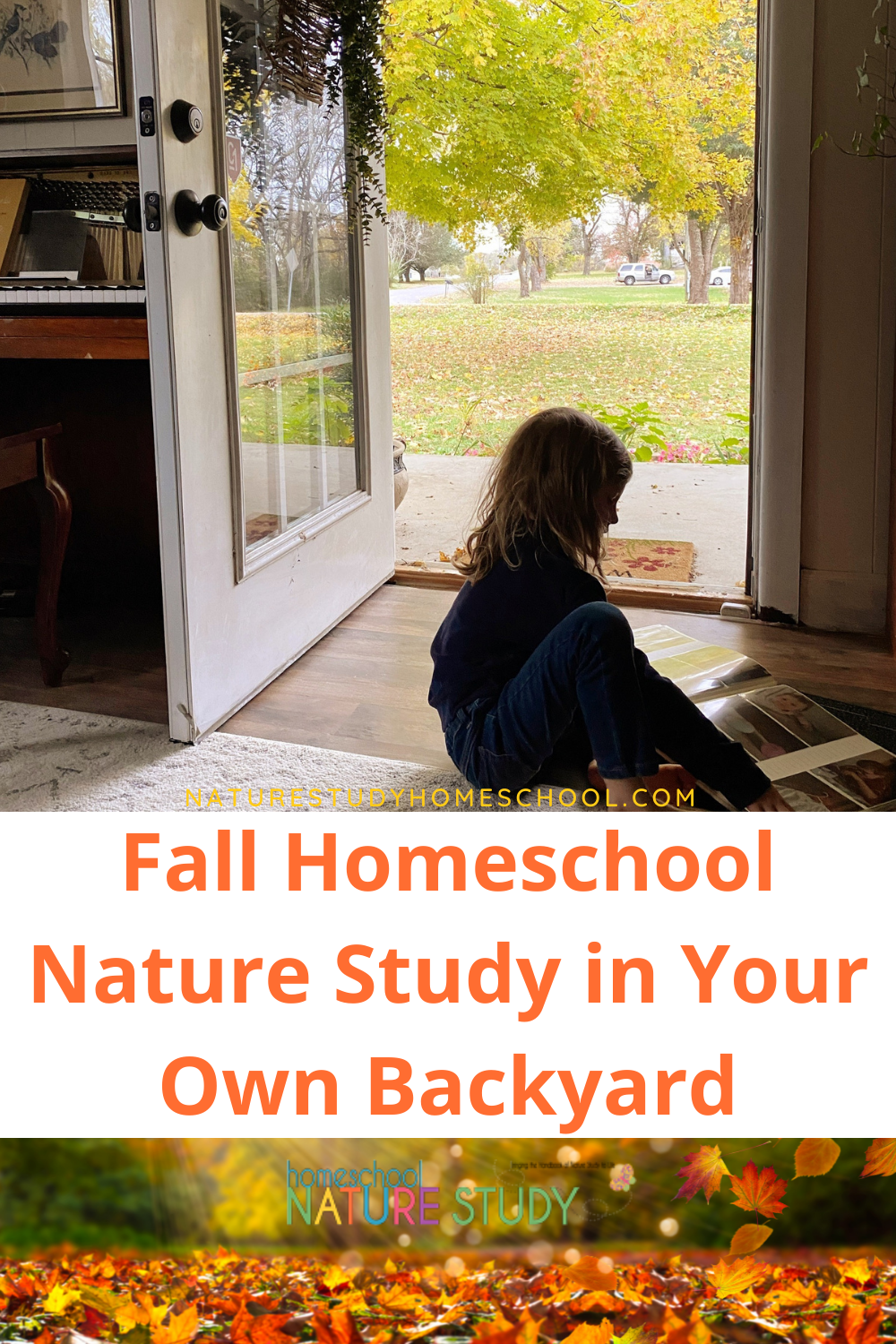The Ultimate Guide To Fall Homeschool Nature Study In Your Own Backyard ...