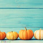 The Complete Guide To Apple and Pumpkin Nature Study Ideas for Your ...