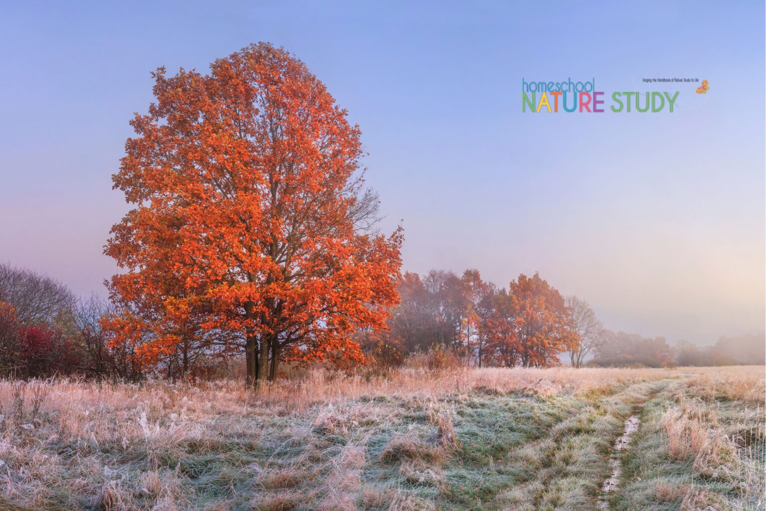 Turkey Homeschool Nature Study Activities for November - Homeschool ...