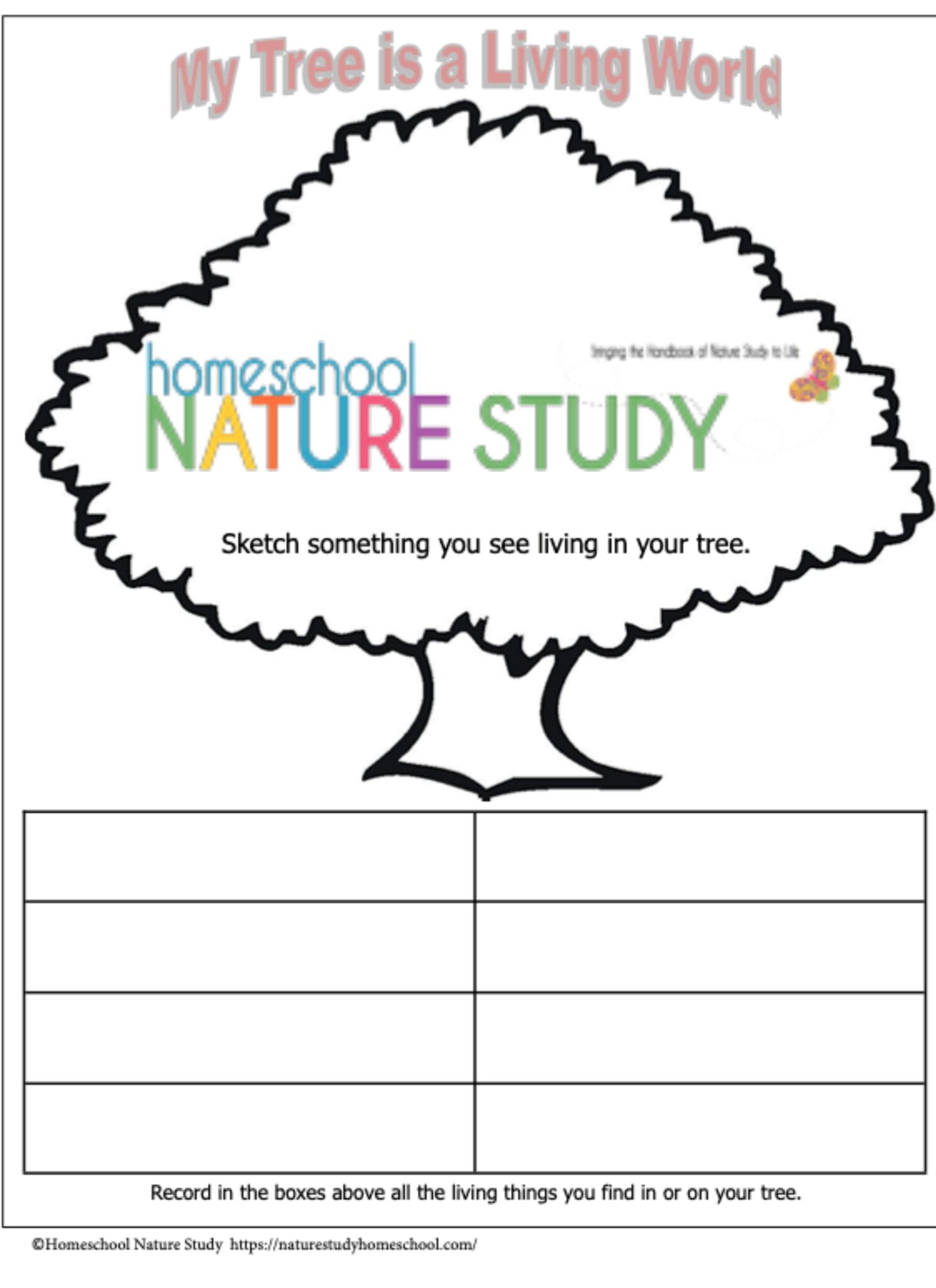 A Winter Tree Study For Your Homeschool - Homeschool Nature Study