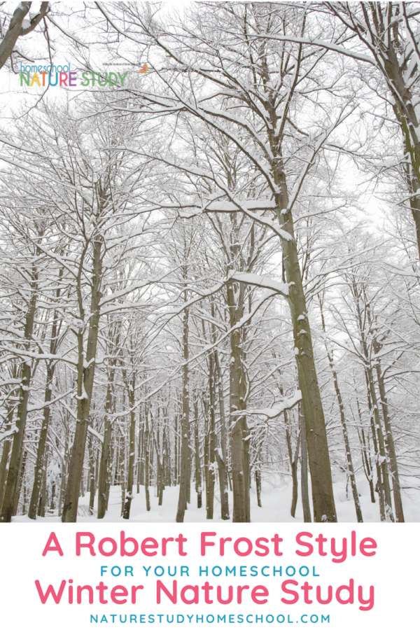 A Robert Frost Style Winter Nature Study for Your Homeschool ...