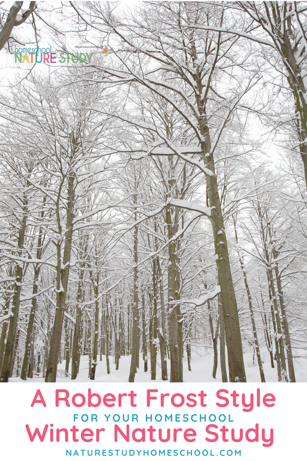 A Robert Frost Style Winter Nature Study for Your Homeschool ...