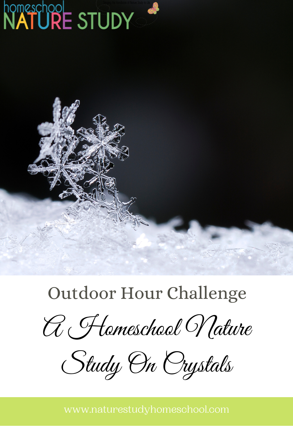 Posts - Homeschool Nature Study