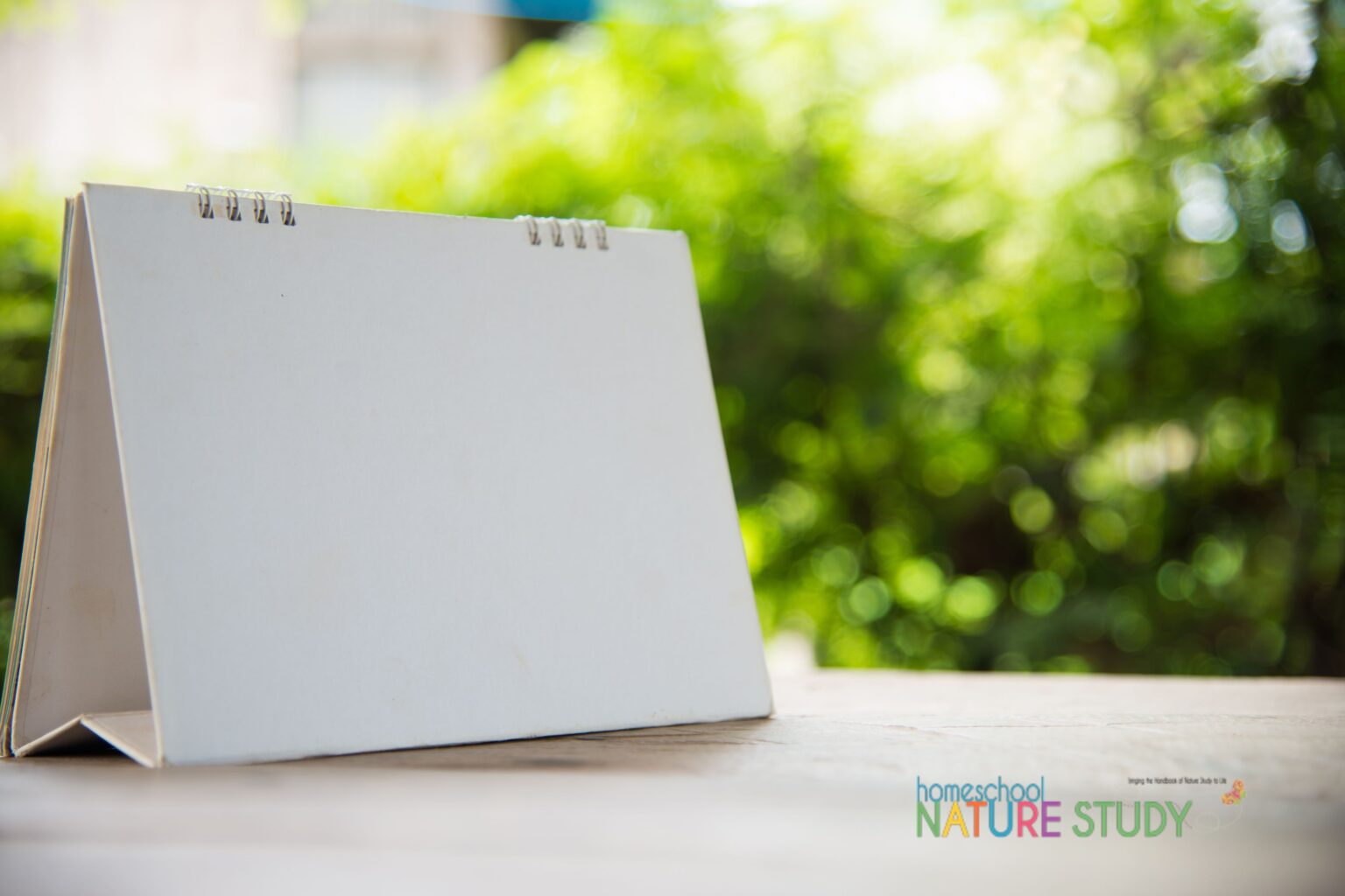 The Ultimate Guide To Nature Journaling: Tips For Writing About Nature ...