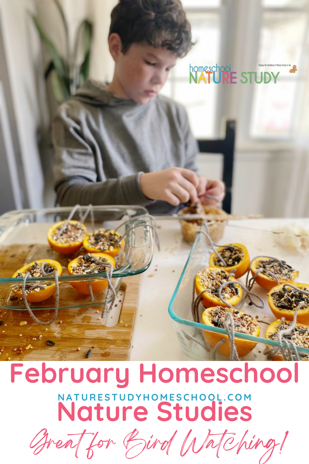 February Homeschool Nature Studies Great for Bird Watching - Homeschool ...