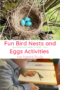 Fun Bird Nests and Eggs Activities For Nature Study - Homeschool Nature ...