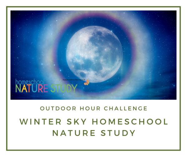 7 Fun Winter Nature Study Activities To Help Cure Cabin Fever ...