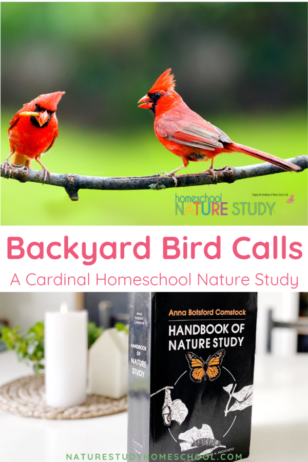 Backyard Bird Calls: A Cardinal Homeschool Nature Study - Homeschool ...