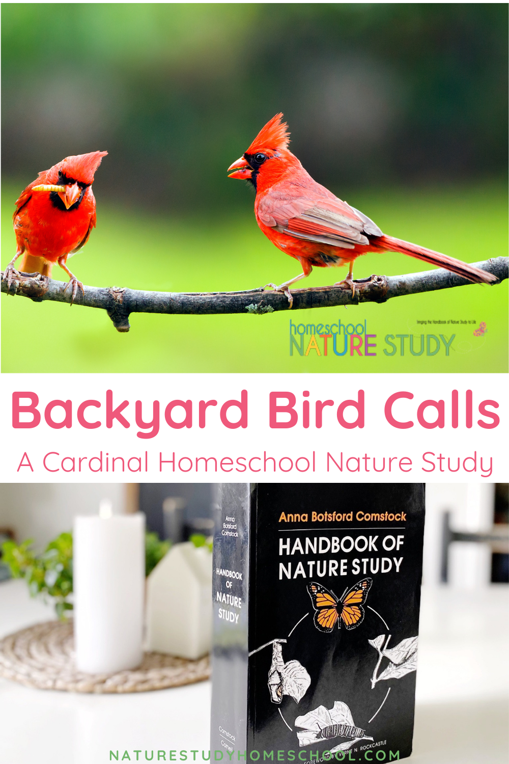 Backyard Bird Calls: A Cardinal Homeschool Nature Study - Homeschool ...