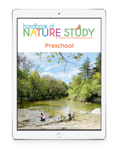 Delightful Preschool Nature Study Plans for Your Homeschool ...