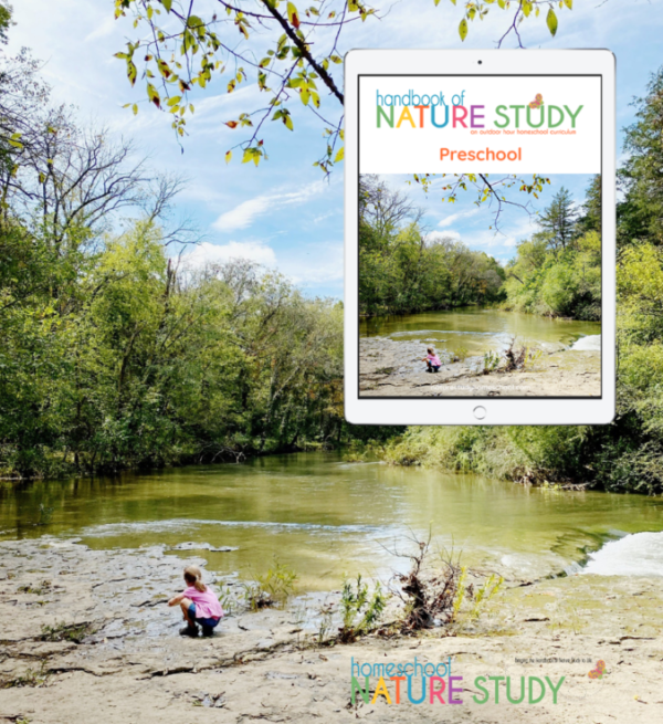 Homeschool Nature Study Printables for Toddlers and Preschoolers ...