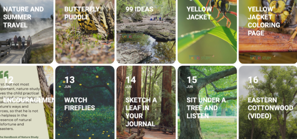June Nature Study Activities for Summer Fun - Homeschool Nature Study