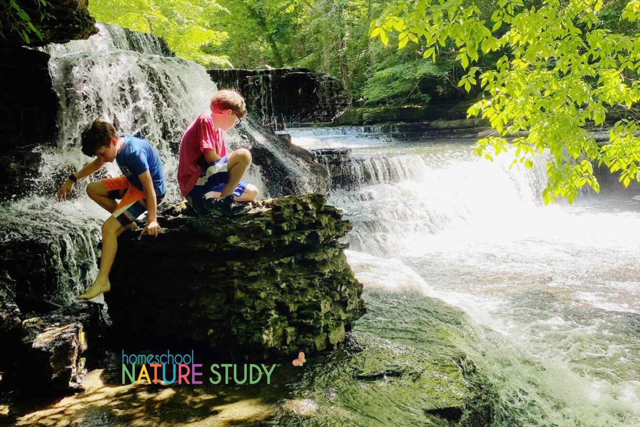 June Nature Study Activities for Summer Fun - Homeschool Nature Study