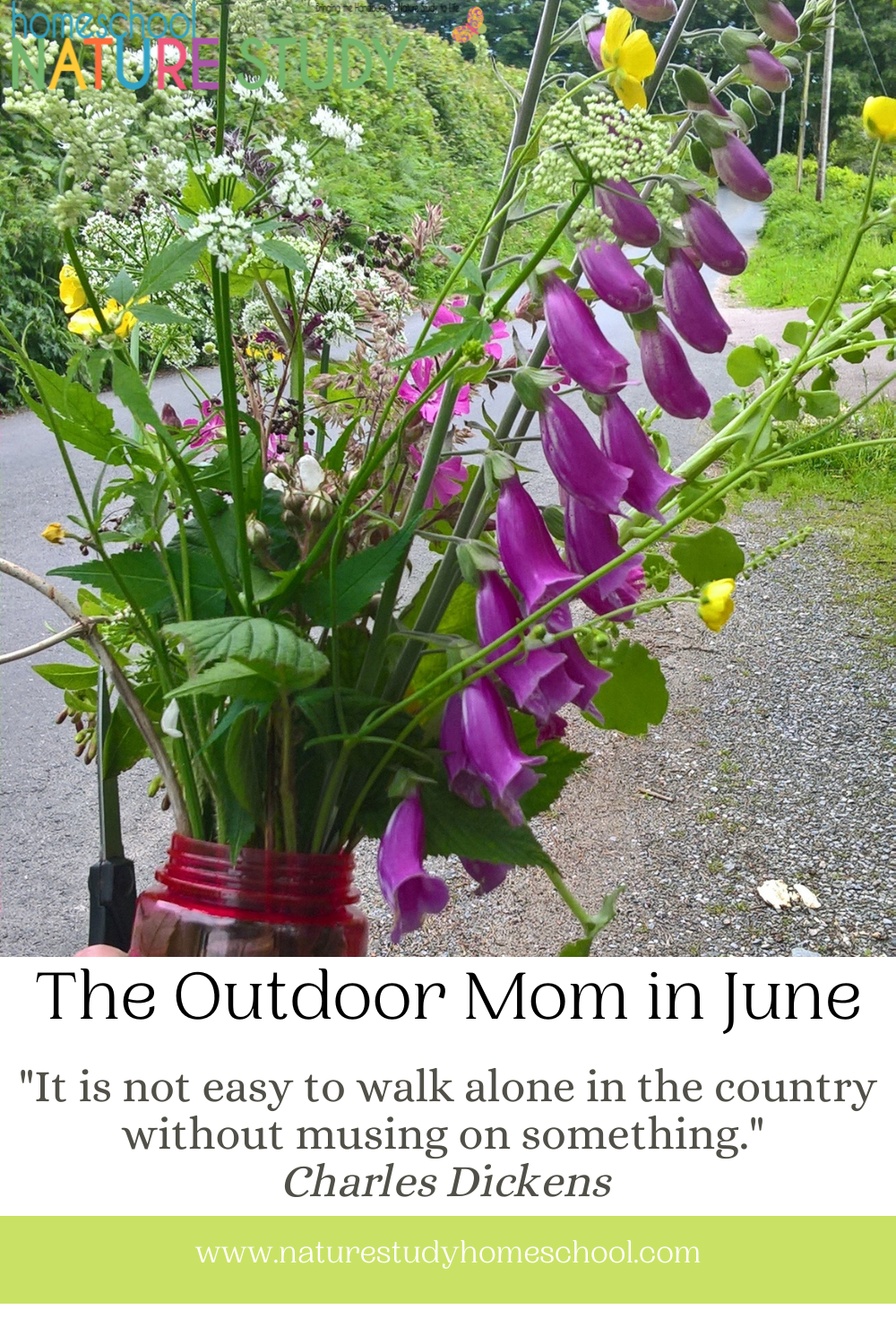 June Nature Study Activities for Summer Fun - Homeschool Nature Study