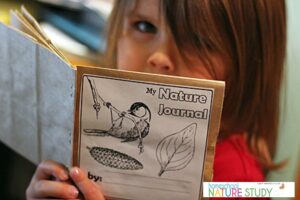 The Ultimate Guide To Nature Journaling: Tips For Writing About Nature ...