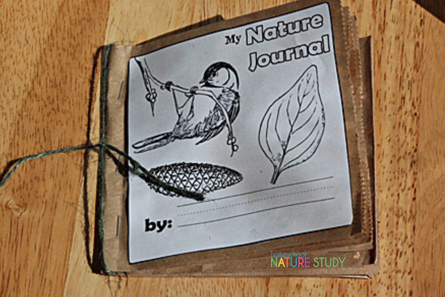 Nature Crafts for Kids: Easy Preschool Science Nature Journals ...