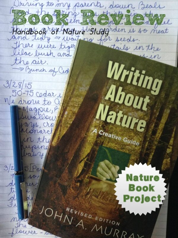 The Ultimate Guide To Nature Journaling: Tips For Writing About Nature ...