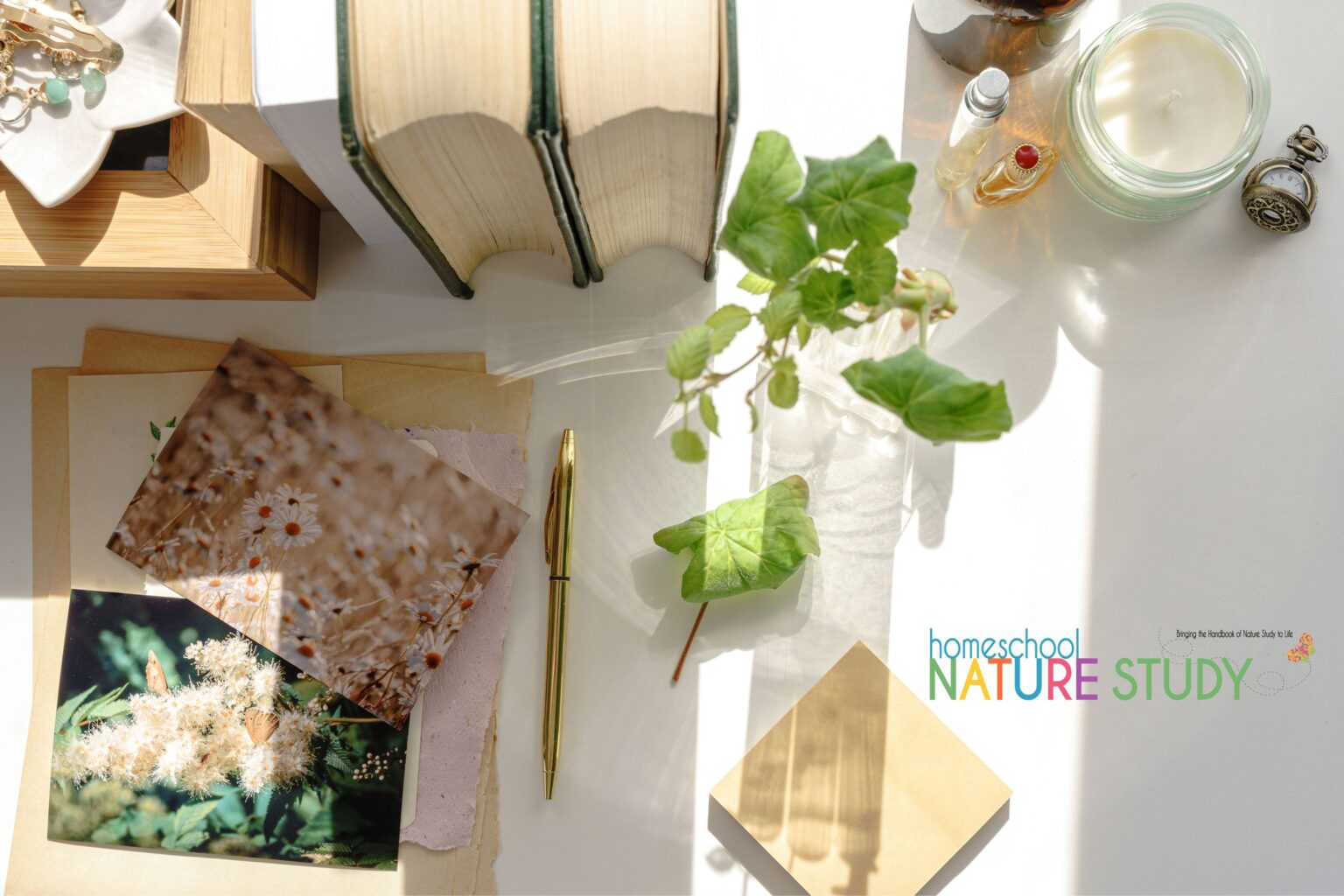 Posts - Homeschool Nature Study