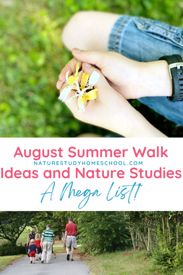 Mega List of August Summer Walk and Nature Study Activities ...
