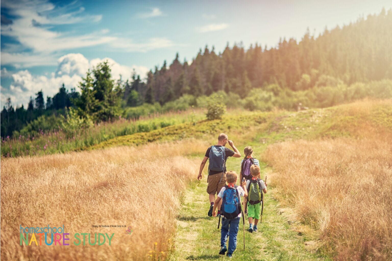 Mega List of August Summer Walk and Nature Study Activities ...