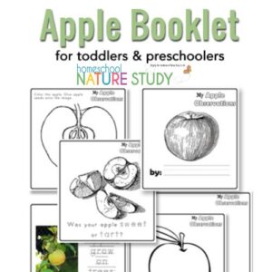 The Complete Guide To Apple and Pumpkin Nature Study Ideas for Your ...