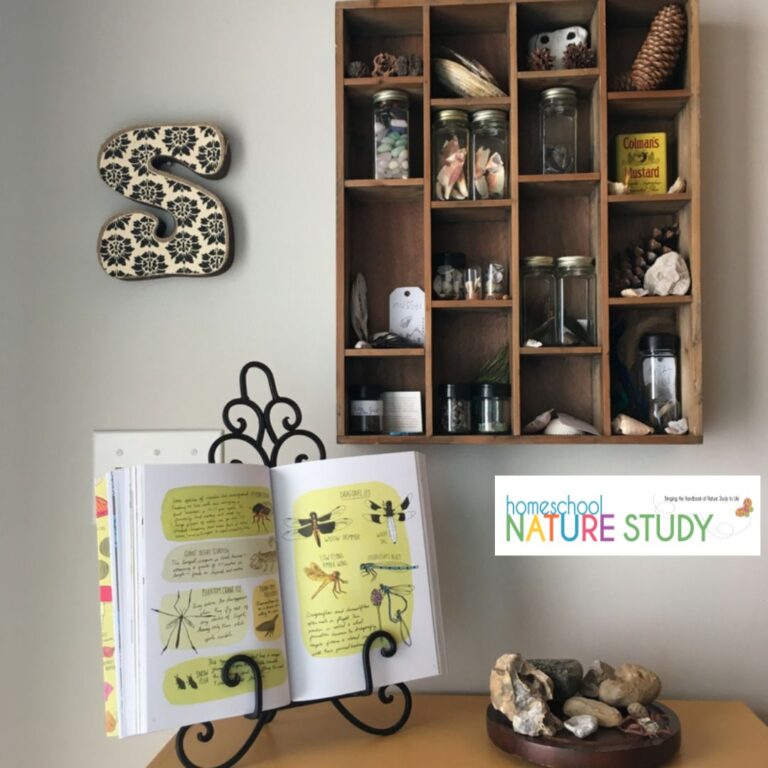 Posts - Homeschool Nature Study