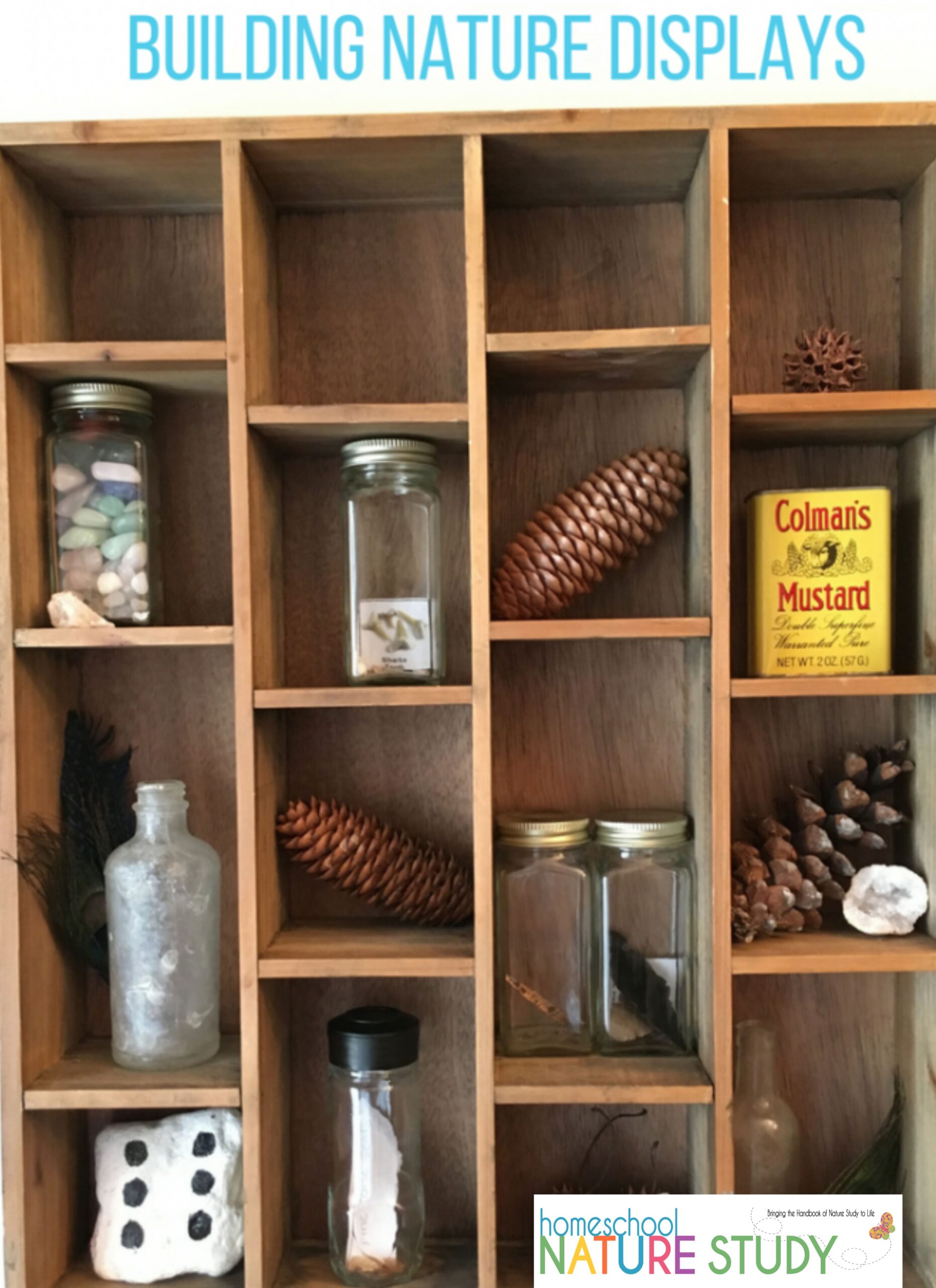 How To Create Simple Nature Displays for Fun Homeschool Learning ...