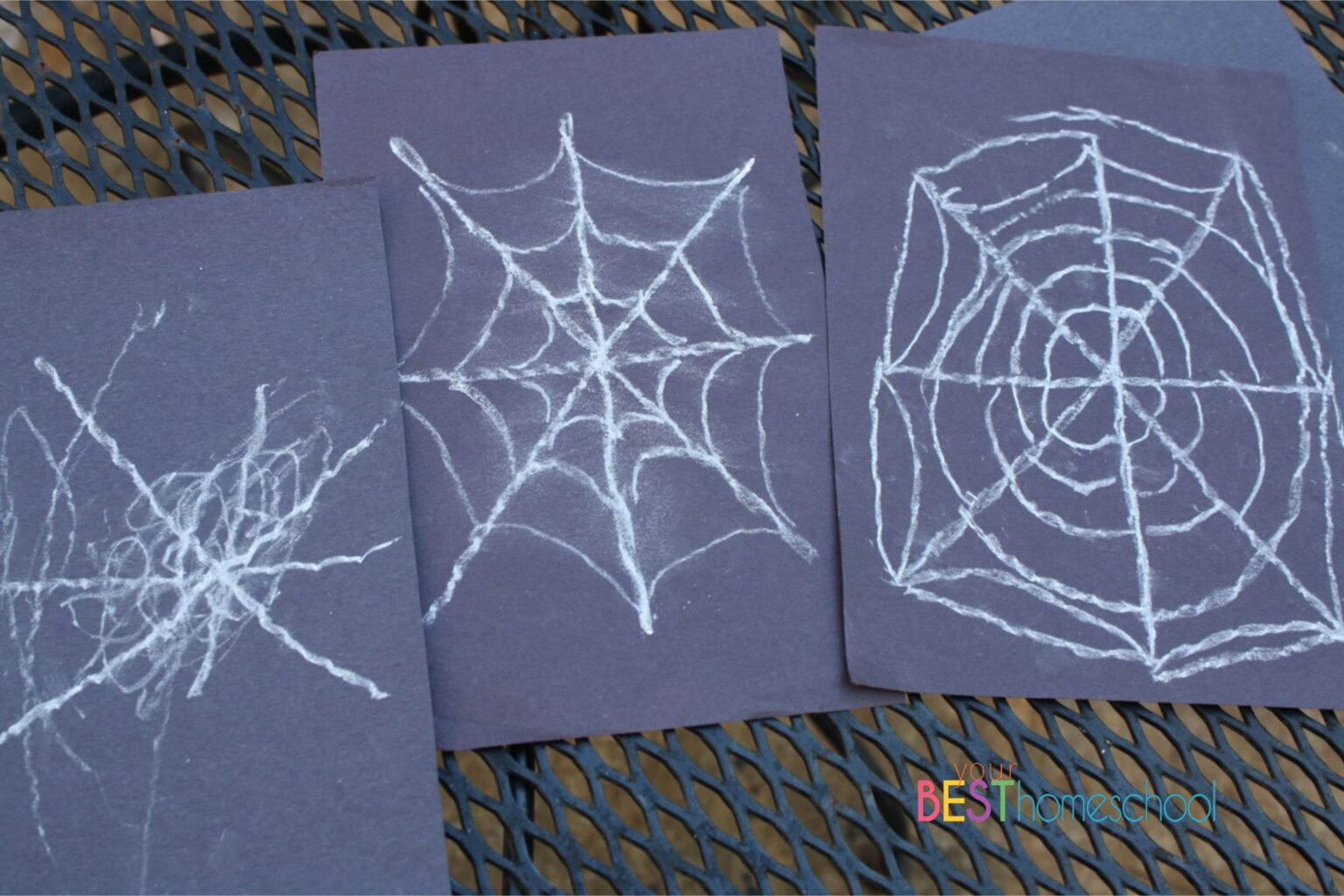 Learning About Spiders: Activities For Kids - Homeschool Nature Study
