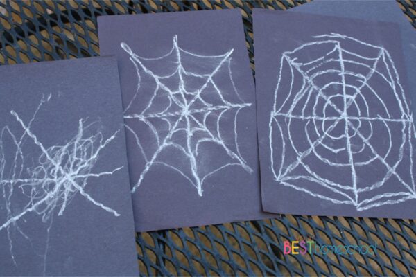 Learning About Spiders: Activities For Kids - Homeschool Nature Study
