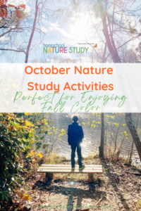October Nature Study Activities For Children Of All Ages - Homeschool ...