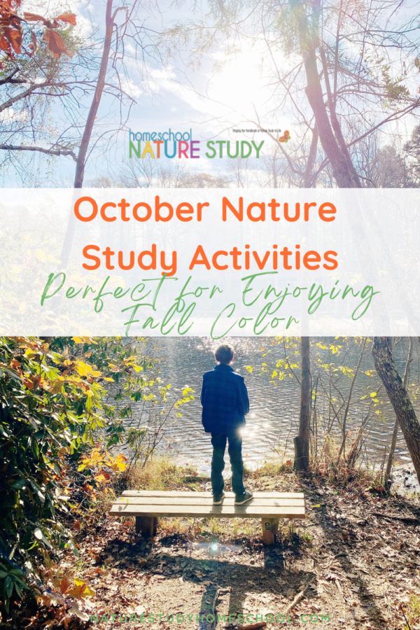 October Nature Study Activities For Children Of All Ages - Homeschool ...