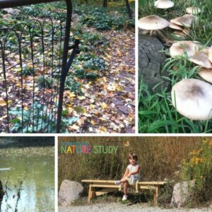 Fall Nature Study Ideas for Preschoolers and Toddlers - Homeschool ...