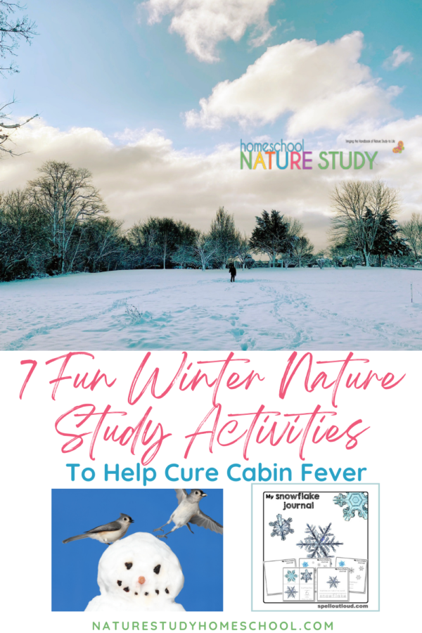 7 Fun Winter Nature Study Activities To Help Cure Cabin Fever ...
