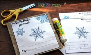 Preschool Snow Activities and Printable Nature Journal - Homeschool ...